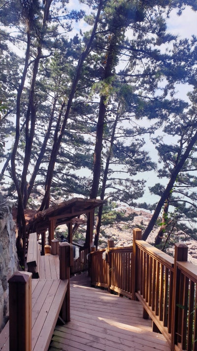 꼼꼼 총정리 충남 보령 가볼만한곳 대천 죽도 상화원휴관기간 관람가능일 입장료 주차장 네이버 블로그