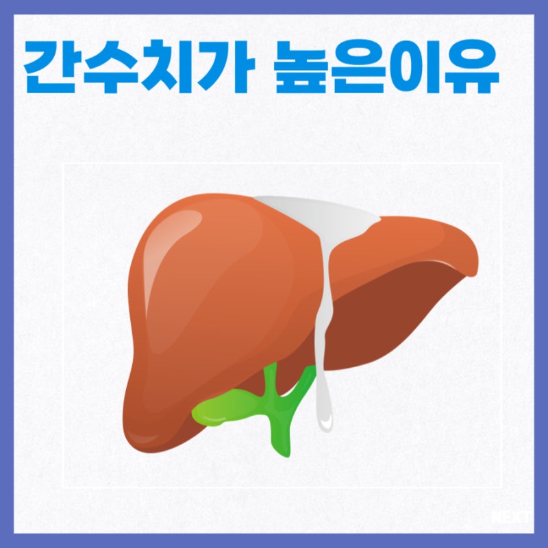 간수치가 높은이유 간수치 낮추는법 정상범위 Alt 수치 Ast Ggt 네이버 블로그