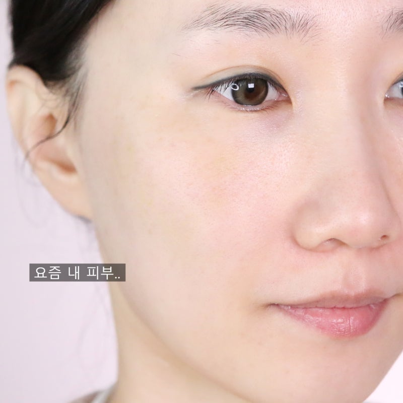 얼굴 기름기 원인과 현실적인 얼굴 개기름 제거 방법 기름종이 파우더 네이버 블로그