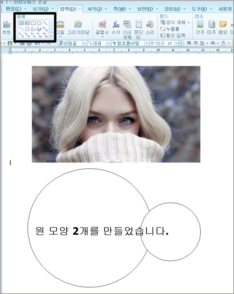 도형안에 그림 사진 넣는 방법 한컴오피스·한글 워드 네이버 블로그