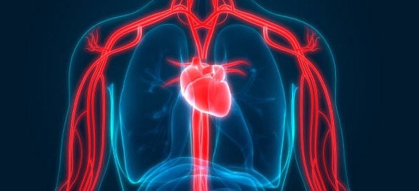 기본 간호 정맥주사 핵심 술기 Iv 주사 부위 혈관 추천 및 부작용 네이버 블로그