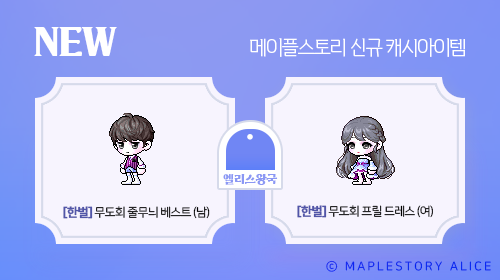 메이플스토리 신규캐시 추가 128기 잡로얄 보랏빛 환상 의상 세트 블루레드 케이프 교복 레헬른 가면 무도회 의상 세트