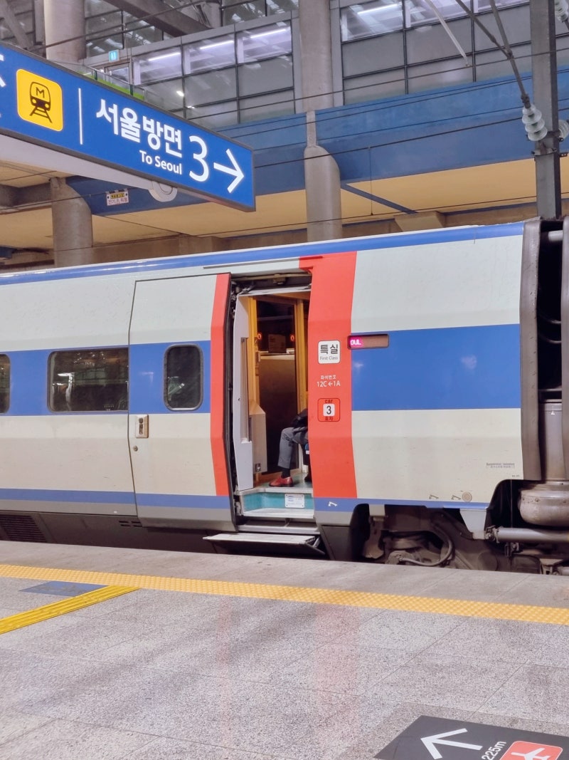 대구 동대구역 KTX 특실 일반실 좌석 차이 (콘센트 쿠키 간식 서비스) 광명역 간 후기 : 네이버 블로그