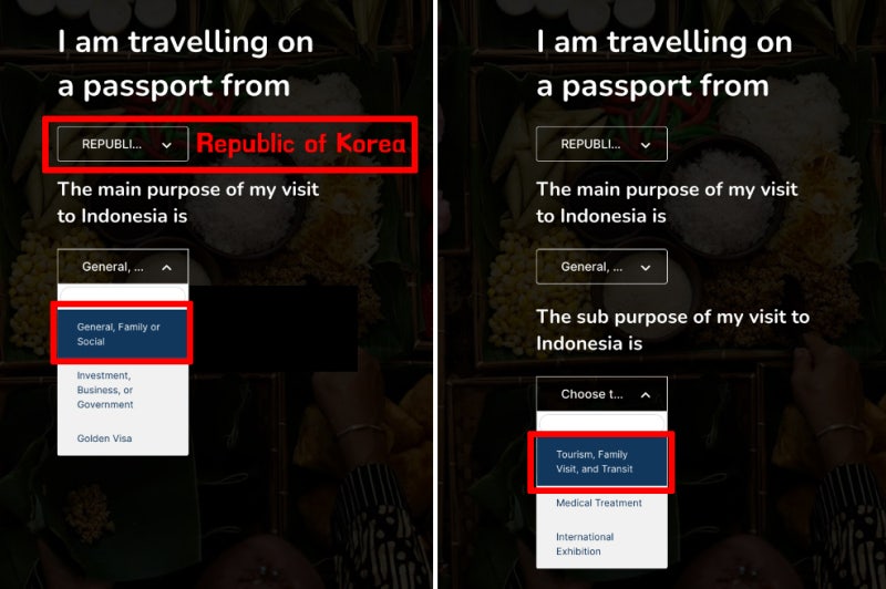 발리 전자 도착 비자 발급 신청 방법 인도네시아 발리 입국 10분컷 네이버 블로그