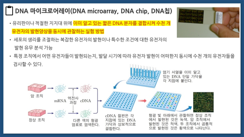 DNA 마이크로어레이(DNA microarray, DNA chip, DNA칩) : 네이버 블로그