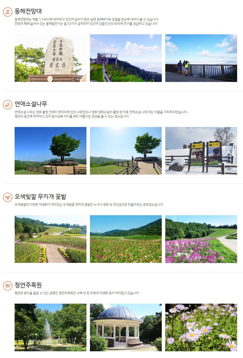 국내 겨울 여행지 추천 강원도 겨울 여행 핫플 삼양라운드힐 네이버 블로그