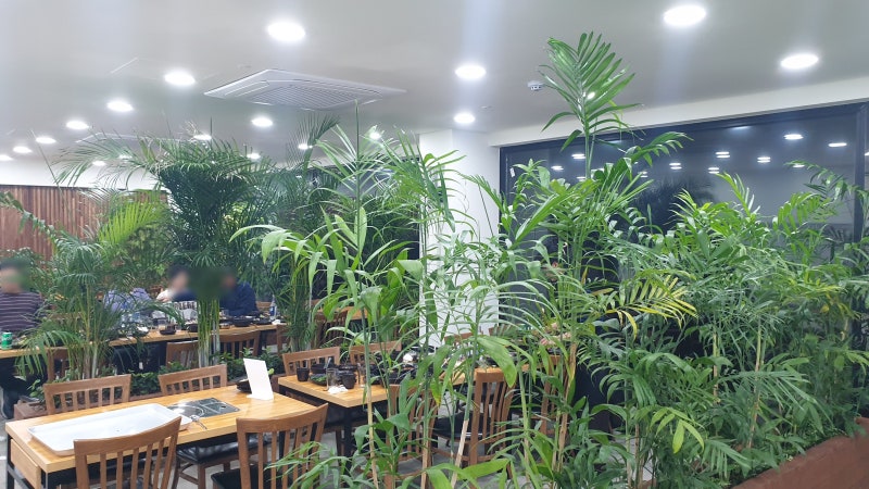 경남 밀양 표충사 근처 은하수 리조트 은하수관광농원 흑염소전문점 염소구이 염소 수육 맛집 오토캠핑