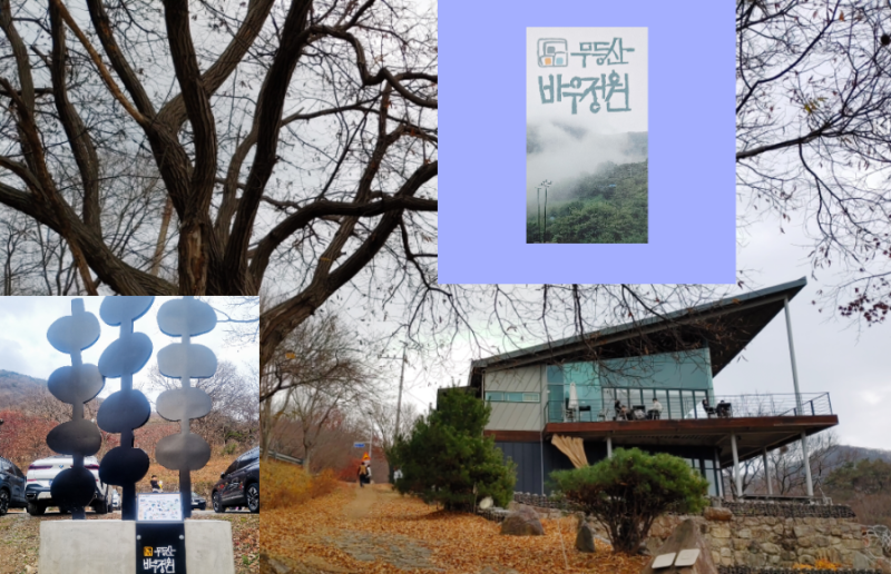 전남•화순 수만리커피를 품고있는 무등산바우정원산속까페자연속정원산책로정원힐링버섯체험화순가볼만한곳 광주근교가볼만한곳