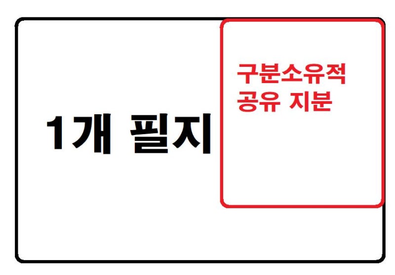 공유지분 등기와 구분소유적 공유관계상호명의신탁 그리고 공동소유 등기 차이 네이버 블로그