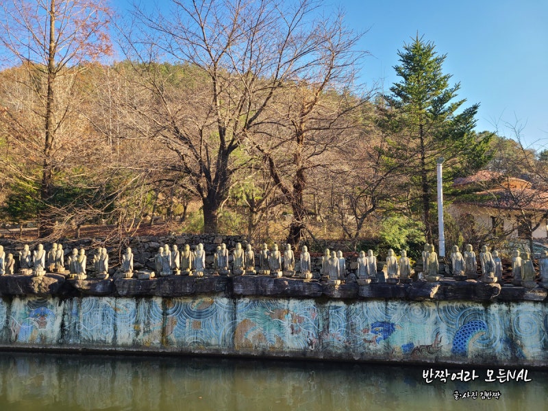 용인여행와우정사종합정보 및 후기 네이버 블로그