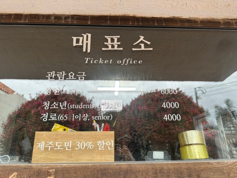 제주 동백꽃 명소 동백포레스트 입장료 12월 1월 제주도 가볼만한곳 네이버 블로그