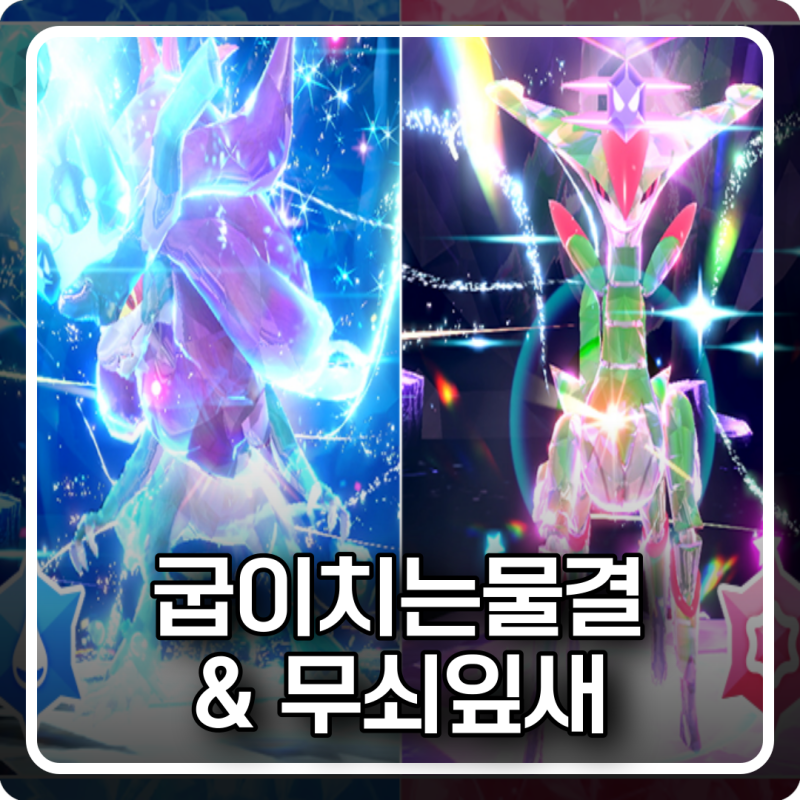 포켓몬스터 스칼렛 바이올렛 굽이치는물결 무쇠잎새 테라레이드 배틀 이벤트 드래곤 타입 포켓몬 대량발생 미뇽 짜랑꼬