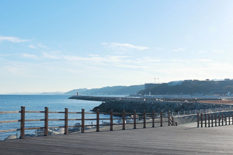 경북 영덕 여행 아이와 가볼만한곳 해파랑공원 네이버 블로그