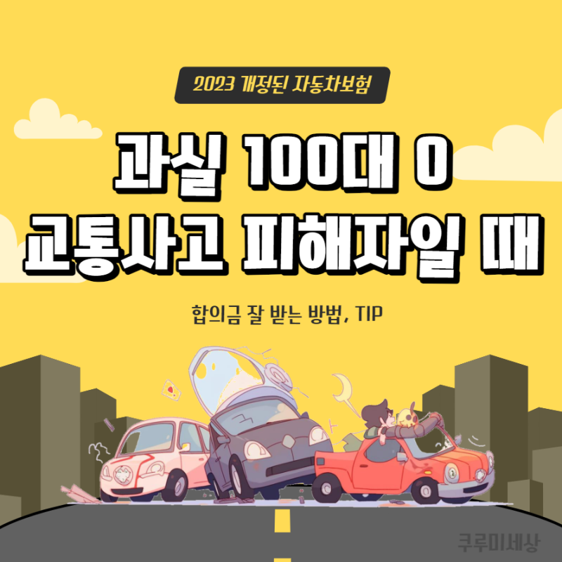 2023개정된 도로교통법 과실 100대0 교통사고 피해자일 때 합의금 잘 받는 방법 네이버 블로그