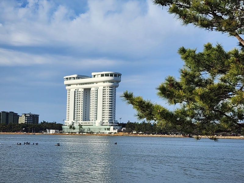 강릉 경포호수 자전거 둘레 한바퀴 야경 일몰 여자 혼자 뚜벅이 여행 네이버 블로그