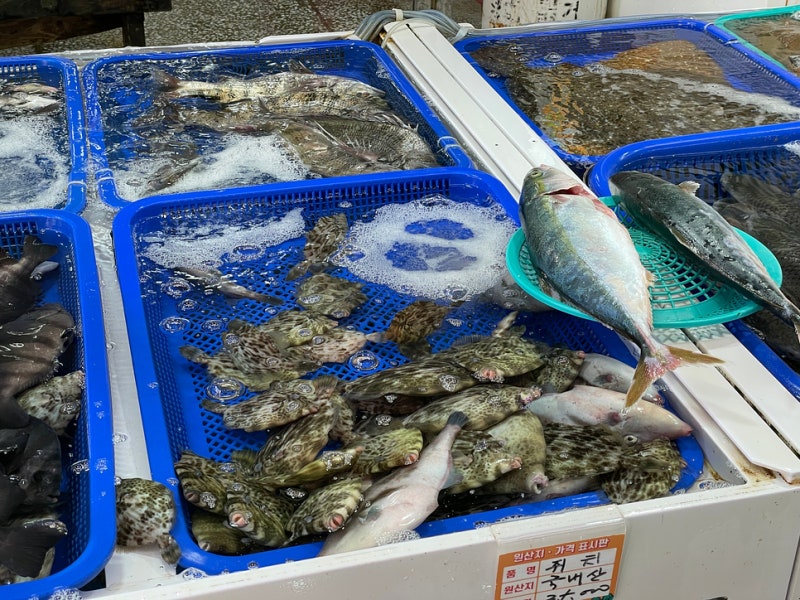 거제도 가볼만한곳 먹거리 거제고현시장 수산시장 해산물 주차장 분식 맛집 반찬 네이버 블로그