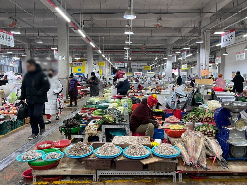 거제도 가볼만한곳 먹거리 거제고현시장 수산시장 해산물 주차장 분식 맛집 반찬 네이버 블로그