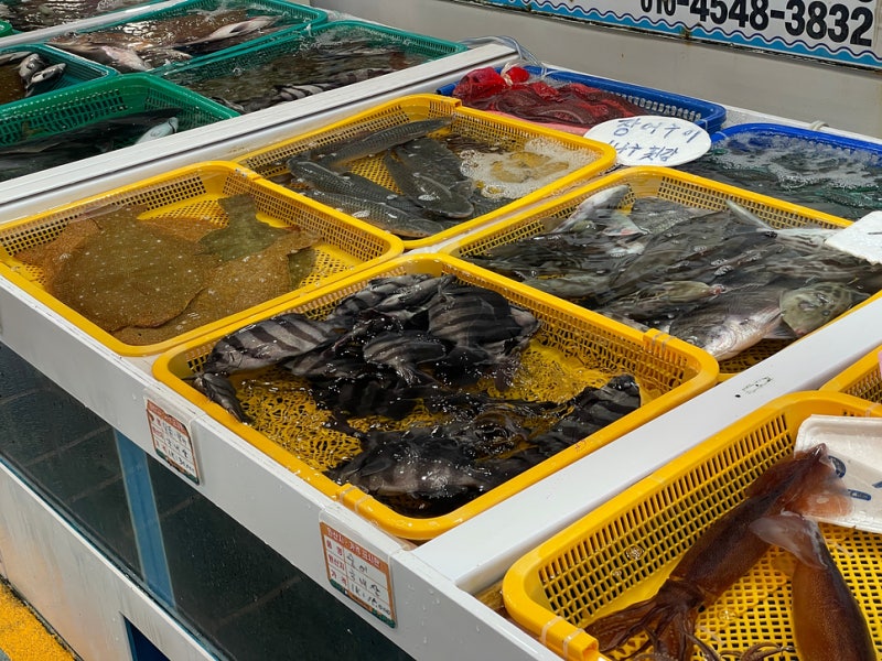 거제도 가볼만한곳 먹거리 거제고현시장 수산시장 해산물 주차장 분식 맛집 반찬 네이버 블로그