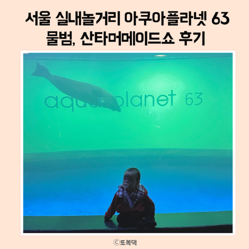 서울 아이와가볼만한 곳 추운 겨울 실내 핫플 63 아쿠아플라넷 그리고 맥스달튼 전시회 후기 네이버 블로그