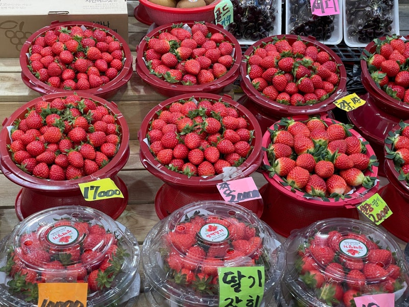 거제도 가볼만한곳 먹거리 거제고현시장 수산시장 해산물 주차장 분식 맛집 반찬 네이버 블로그