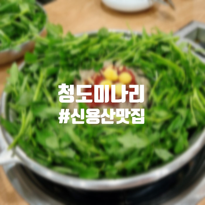 신용산 맛집 미나리 한가득 오리전골과 샤브샤브 청도미나리식당 네이버 블로그