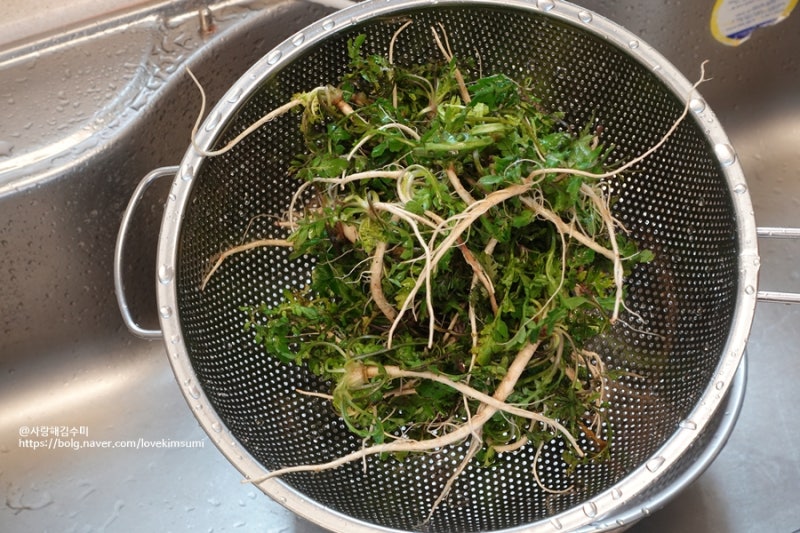 냉이된장국 맛있게 끓이는법 두부 냉이국 만드는법 냉이손질 생 냉이요리 네이버 블로그