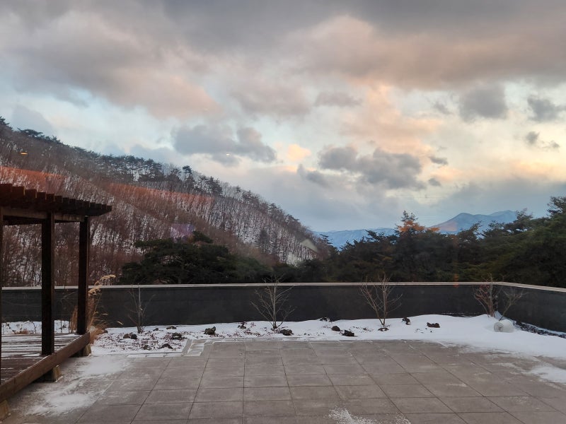 제천 포레스트리솜 해브나인스파 예매 할인 꿀팁 푸드코트 찜질방 부산어묵 들밥애 네이버 블로그