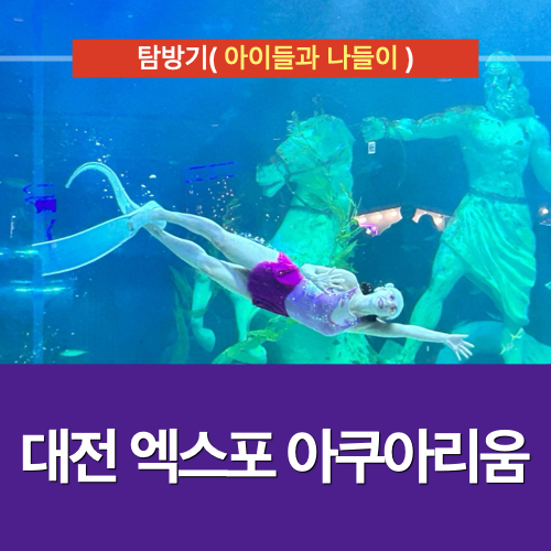 아이들과 함께하는 바다 속 체험 대전 엑스포 아쿠아리움가족 나들이