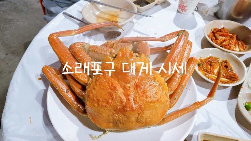 소래포구 전통어시장 맛집 대방어 가격 대게 시세 좋은 곳 네이버 블로그