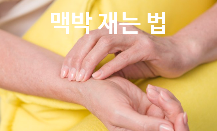 성인 혈압맥박정상수치 나이별 맥박 정상범위 맥박 심박수 120 80 60 네이버 블로그