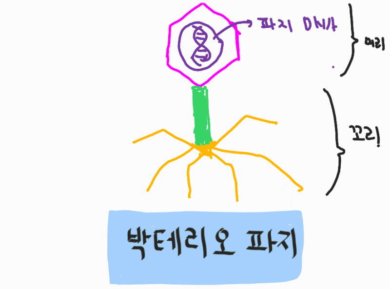 의대생명과학 세특 주제탐구 유전자가위에 대한 상세한 이해 1~ 4편 통합본 네이버 블로그