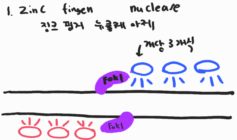의대생명과학 세특 주제탐구 유전자가위에 대한 상세한 이해 1~ 4편 통합본 네이버 블로그