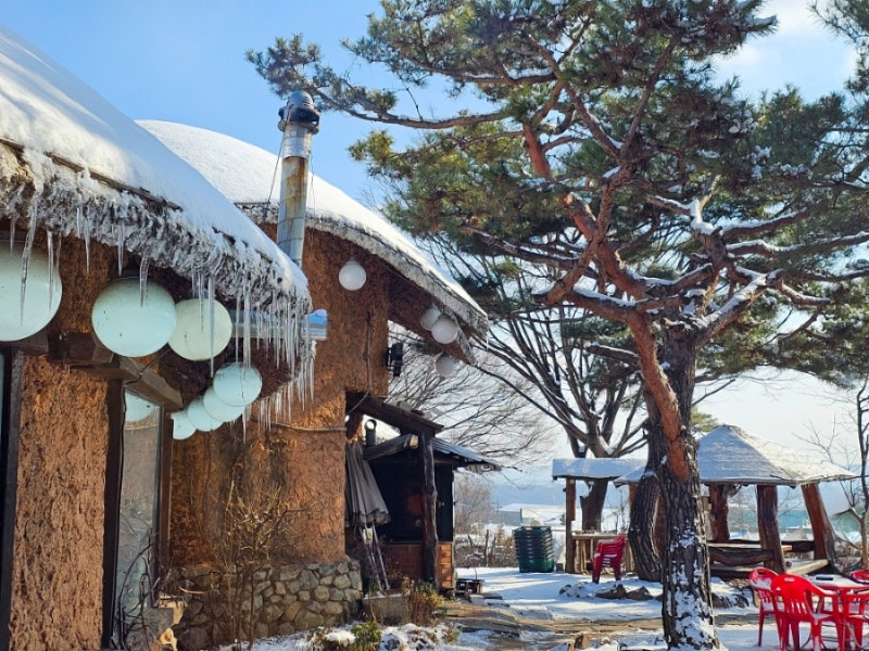화성 남양읍 맛집 1855 블랙앵거스가 있는 운치있는 황토집 소나무집 네이버 블로그