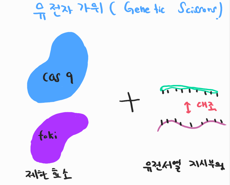 의대생명과학 세특 주제탐구 유전자가위에 대한 상세한 이해 1~ 4편 통합본 네이버 블로그