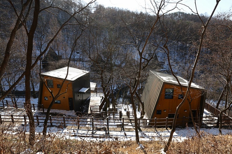 대전 만인산자연휴양림 트리하우스 숲속의 집 네이버 블로그
