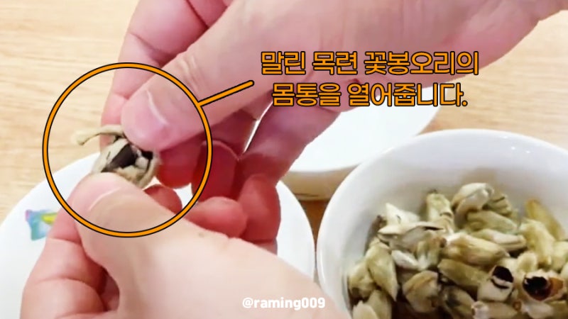 목련차 효능 독성이 있는 목련꽃차 제대로 마시는 법이 따로 있다 네이버 블로그