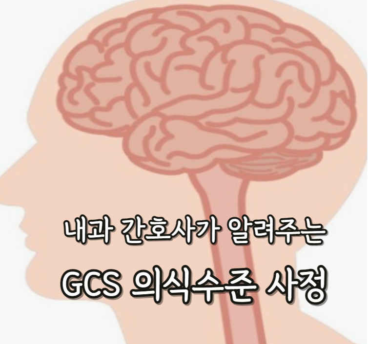 Gcs 사정 의식수준 단계 및 점수 해석 평가 기록 방법 네이버 블로그