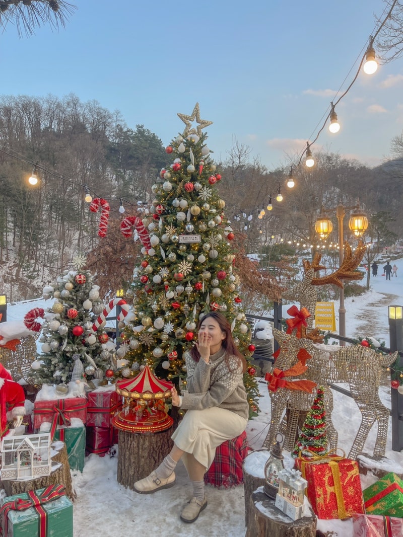 천안 태학산 자연휴양림 놀거리 볼거리 가득한 드라이브 코스 피노카페 눈 오는 날 네이버 블로그