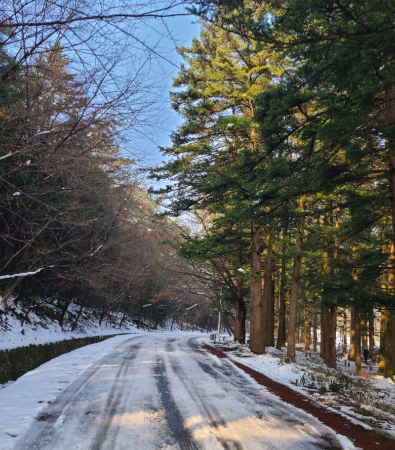 부안 변산반도 국립공원 내변산 상서분소 주변 임도 산책개암사 주차장~월정 약수터~원점 네이버 블로그