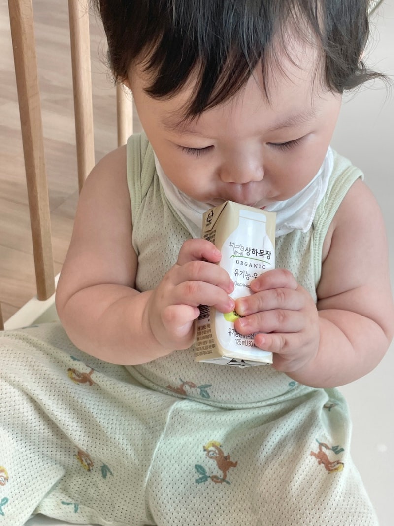 돌아기 첫 우유 상하목장 유기농 멸균우유로 선택했어요 시작시기 우유량 네이버 블로그