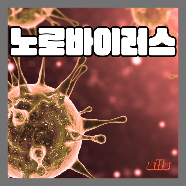 노로바이러스 증상과 전염 및 노로바이러스 치료기본정보 음식