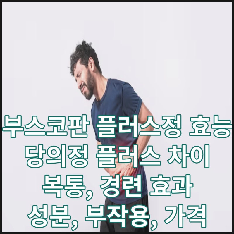 부스코판 플러스정 효능 당의정 플러스 차이 복통 경련 효과 성분 부작용 가격 네이버 블로그