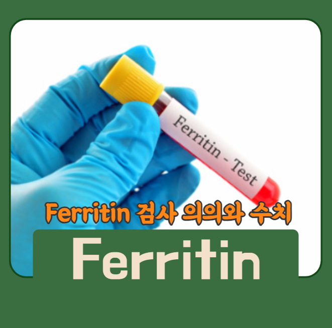 Ferritin 검사 및 수치에 대해 알아볼께요 : 네이버 블로그
