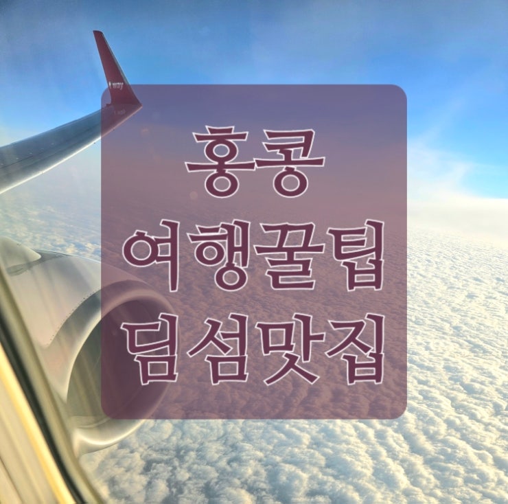 24홍콩마카오여행 우정여행 스타트⭐️ 홍콩여행꿀팁티웨이항공 홍콩 홍콩 딤섬맛집 마스터 찬 내돈내산 네이버 블로그