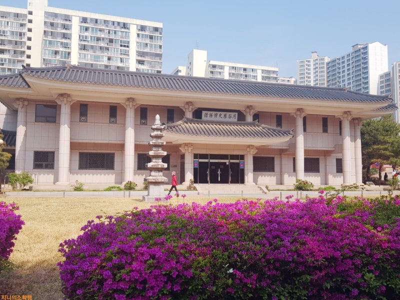 대구 겹벚꽃 명소 월곡 역사 공원 겹벚꽃 여행 네이버 블로그