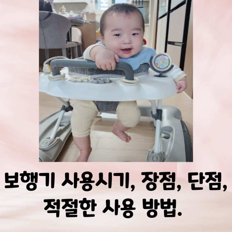 보행기 사용시기 장점 단점 적절한 사용 방법 네이버 블로그