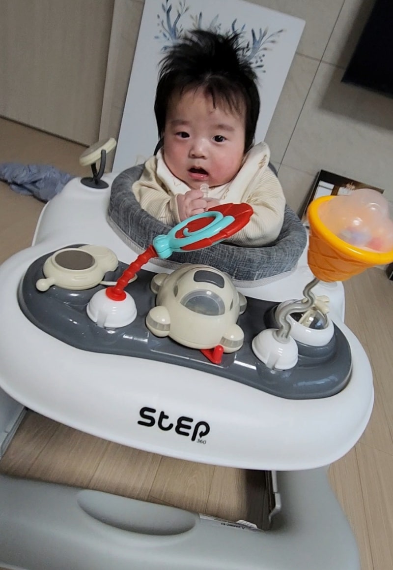 보행기 사용시기 장점 단점 적절한 사용 방법 네이버 블로그