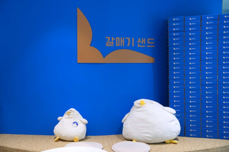 부산역 디저트 갈매기샌드 선물용으로 좋은 부산디저트 네이버 블로그