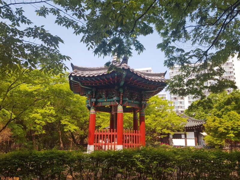 대구 겹벚꽃 명소 월곡 역사 공원 겹벚꽃 여행 네이버 블로그