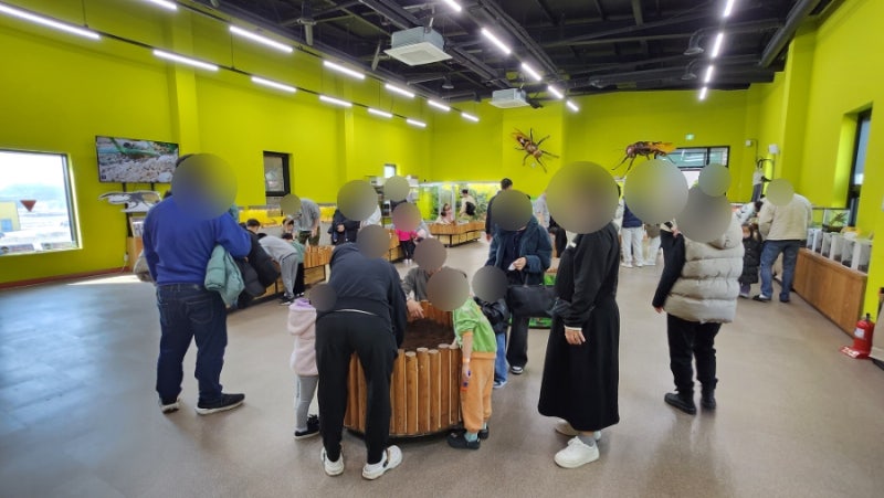 여주 곤충박물관 입장료 아이들과 네번째 방문하는 체험후기 네이버 블로그